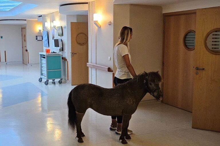 JEANNE GARNIER » l’Equithérapie : un poney au chevet des personnes malades